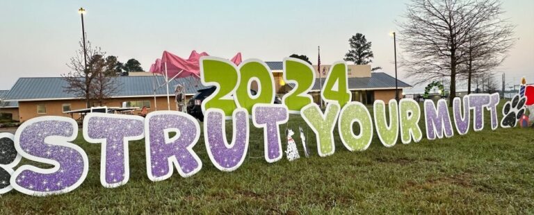 Insights - Linebarger Goggan Blair & Sampson, LLP