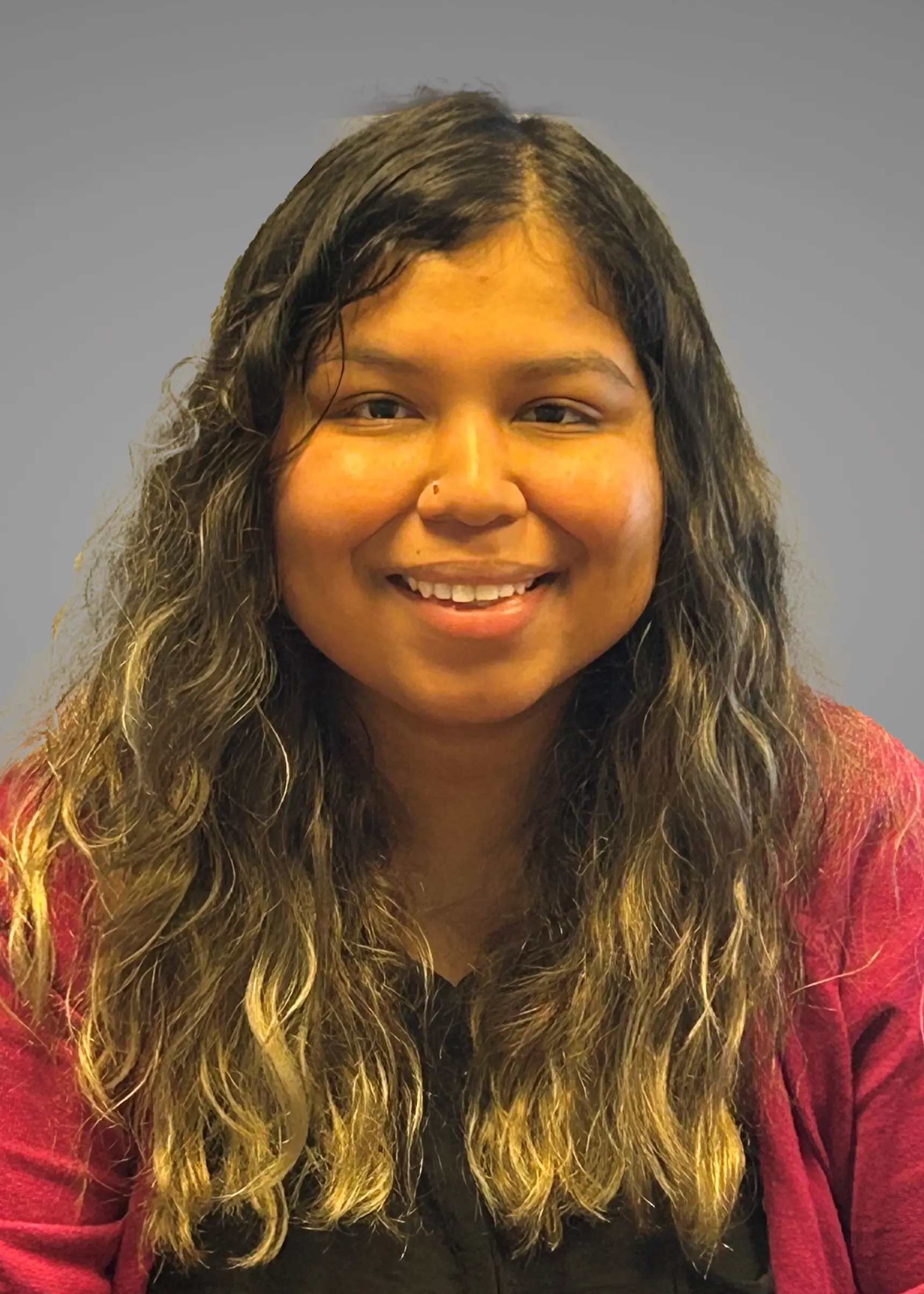 Rosa Reyes - Linebarger Goggan Blair & Sampson, LLP